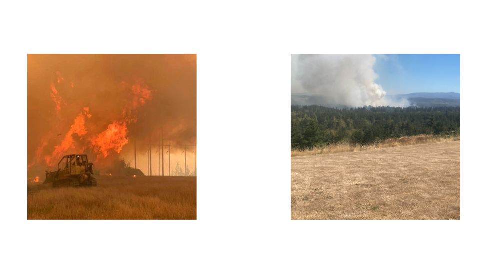 Mowing Best Practices to Ward Off Wildfires